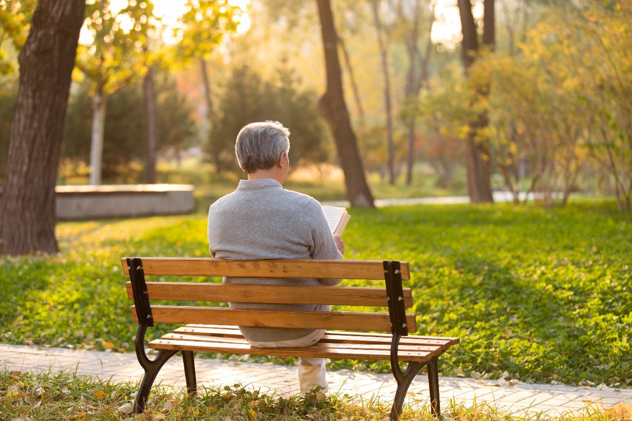 Vega Insider: July 2023 Issue - Innovative Interfaces Inc.